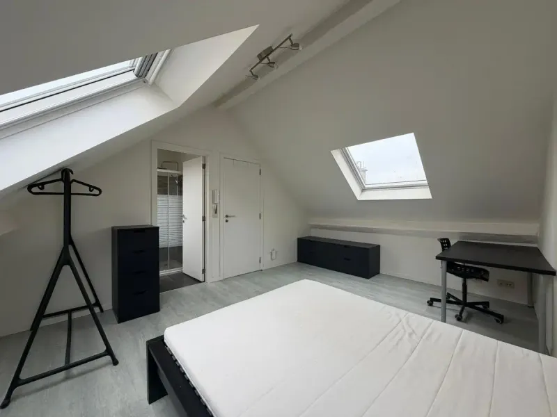Voldersstraat, Bruxelles - 20 m2 kamer in Bruxelles