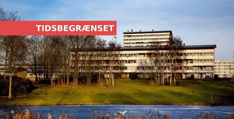 Birkeparken, Odense NØ - Moderniseret 1 værelses med skøn udsigt