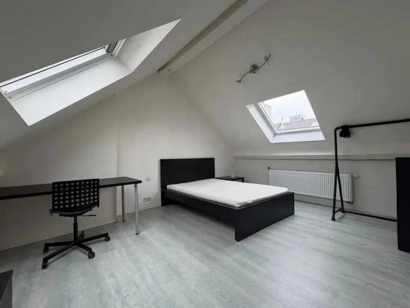 Voldersstraat, Bruxelles - 20 m2 kamer in Bruxelles