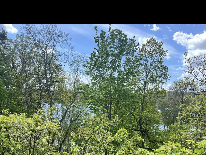 Berguddsvägen, Saltsjöbaden - 5 rums hus / radhus i Saltsjöbaden