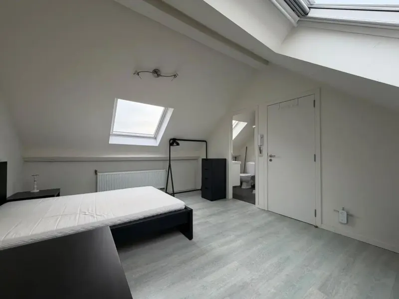 Voldersstraat, Bruxelles - 20 m2 kamer in Bruxelles