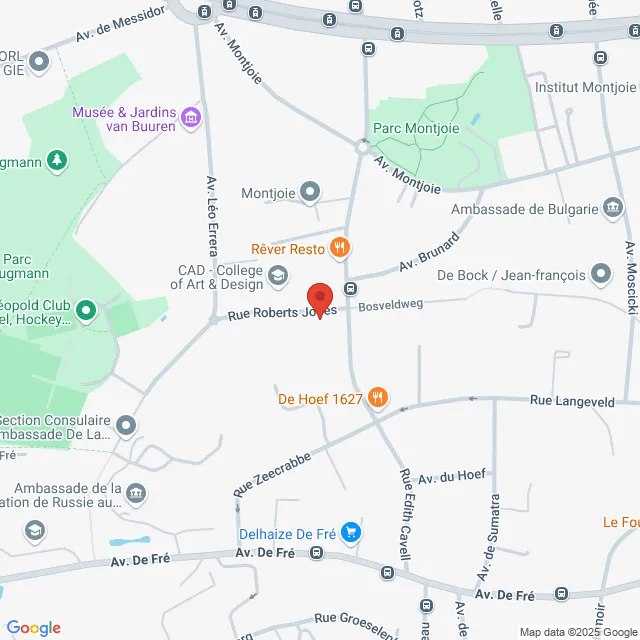 Rue Roberts Jones - Roberts Jonesstraat, Uccle - 7 kamer huis ...